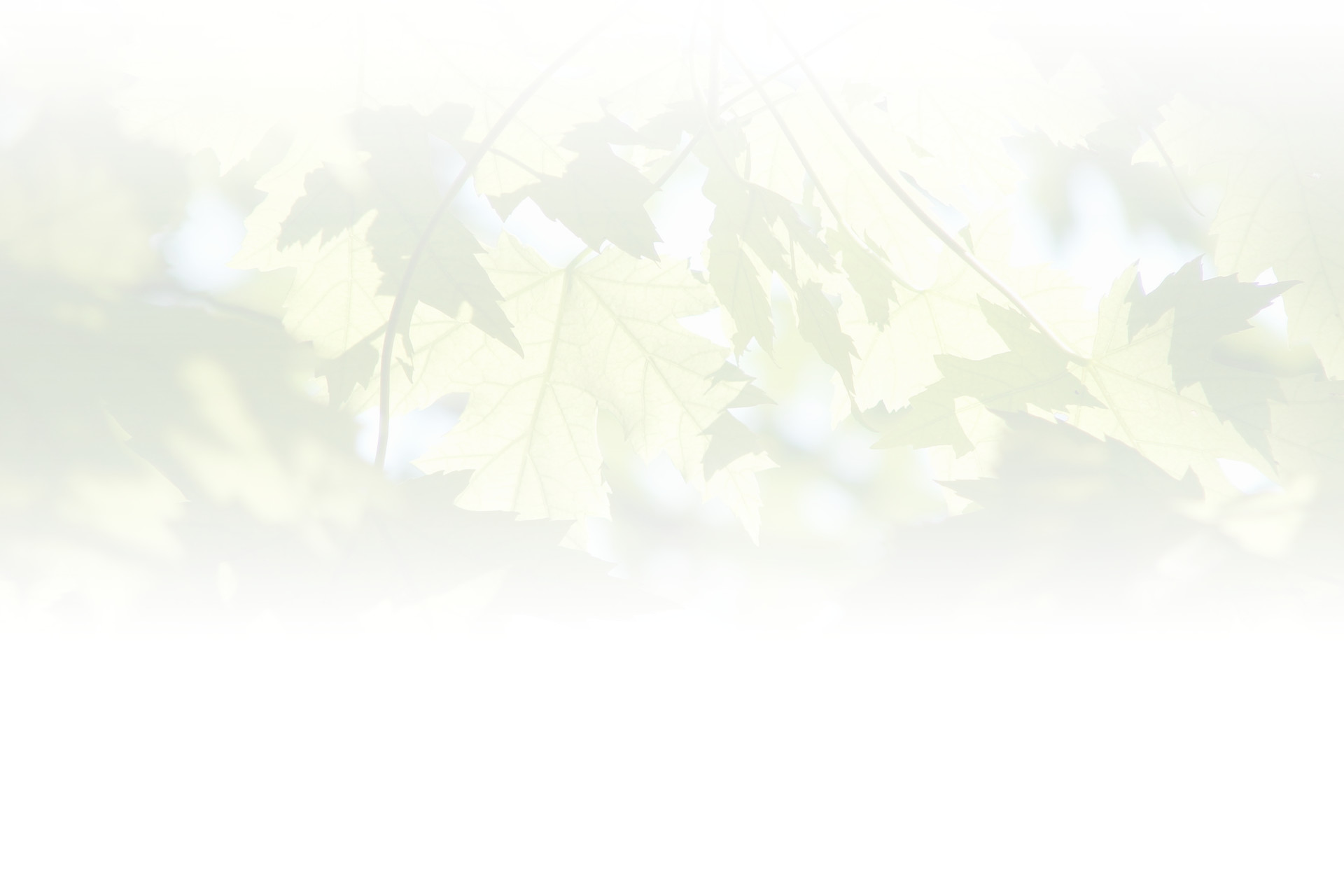 Home - Agronomy | American Society of Agronomy