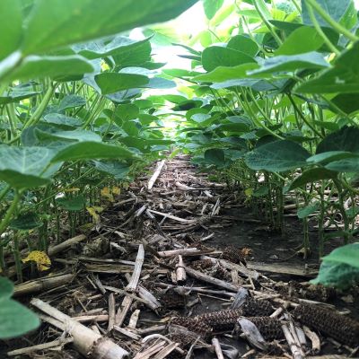 Agronomic Production Systems Section | American Society of Agronomy