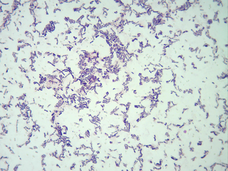 Healthy soil, healthy farms | American Society of Agronomy