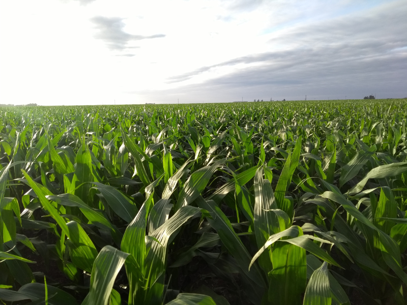 Production Agriculture | American Society of Agronomy