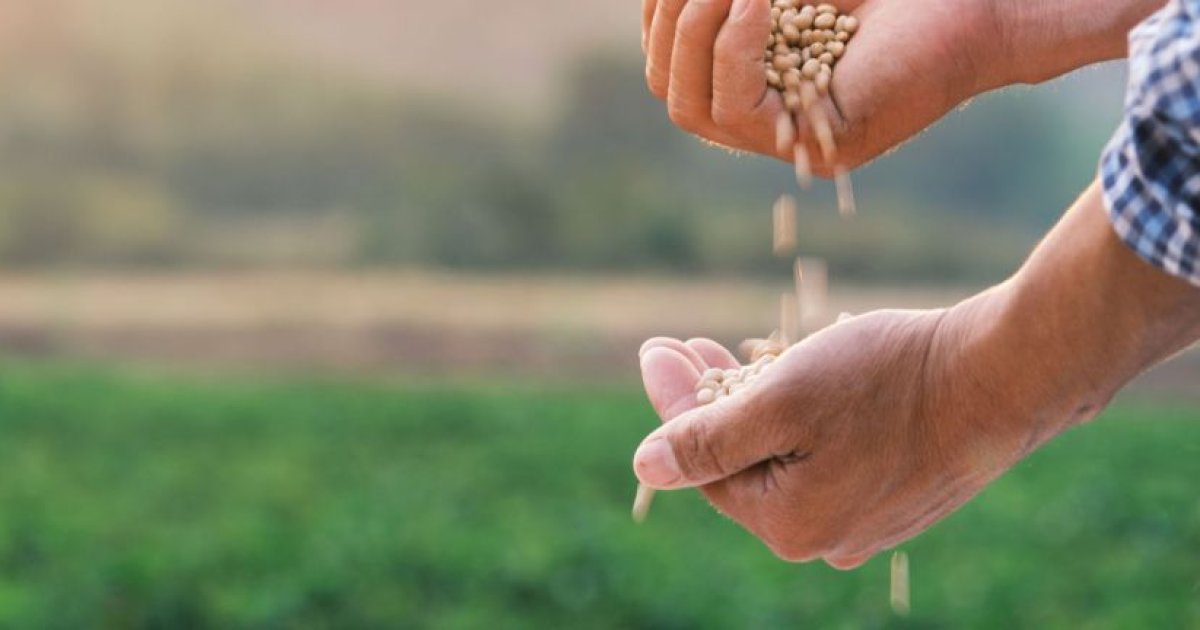 Foundations of Applied Agronomy | American Society of Agronomy